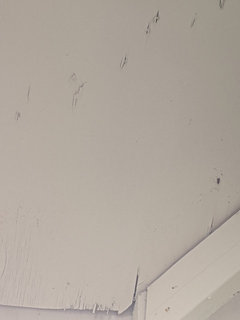 Porch ceiling rot?