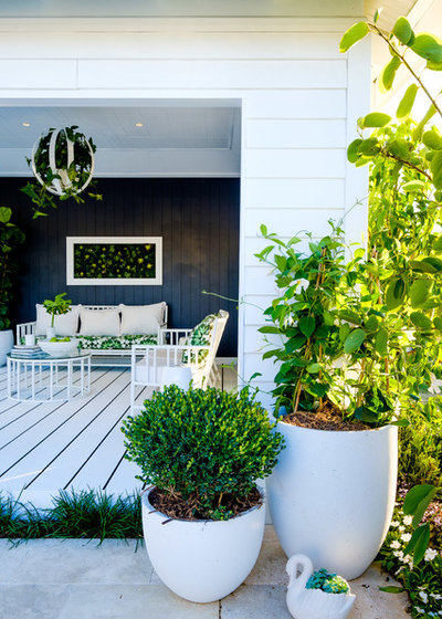 How to Create a Hamptons-Style Garden | Houzz AU