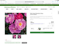 2019 USA New Rose Introductions | Houzz Forum