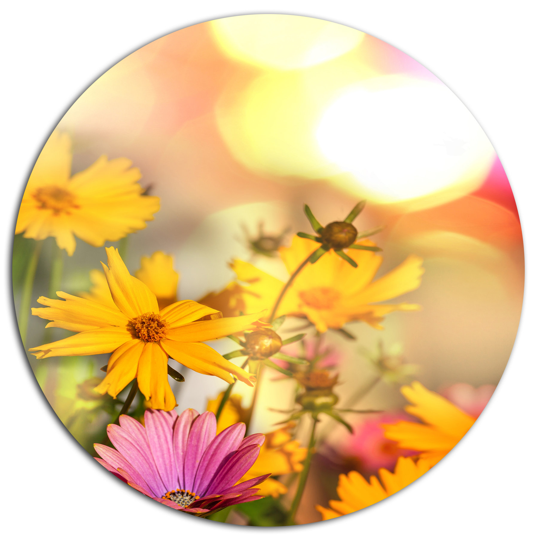 Blooming Yellow And Pink Flowers, Floral Disc Metal Artwork, Disc of 23 ...