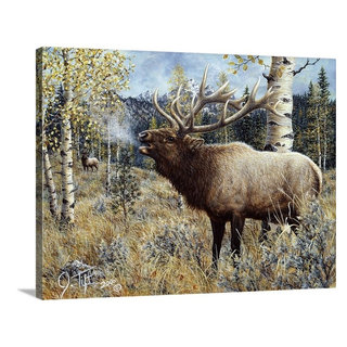 Wapiti Wrapped Canvas Art Print, 16"x12" - Rustic - Prints And Posters ...