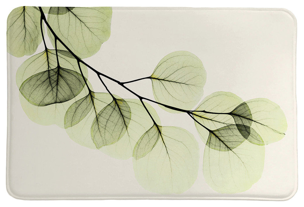 Laural Home Green X-Ray of Eucalyptus Leaves Memory Foam Rug, 21" X 34 ...