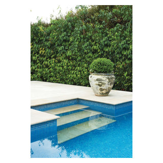 TURRAMURRA - POOL + GARDEN RENOVATION - Traditional - Pool - Sydney ...