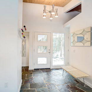 75 Beautiful Mid-Century Modern Slate Floor Entryway Pictures & Ideas ...