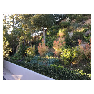 Hollywood Hills - Landscape - Los Angeles - by Somerset Associates | Houzz