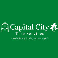 CAPITAL CITY TREE SERVICES - Project Photos & Reviews - Washington, DC ...