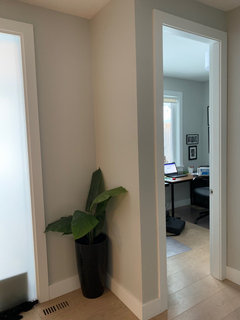 Baseboard & door casing suggestions for transitional style please ...