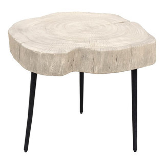 Organic Trunk Side Table, White - Rustic - Side Tables And End Tables ...