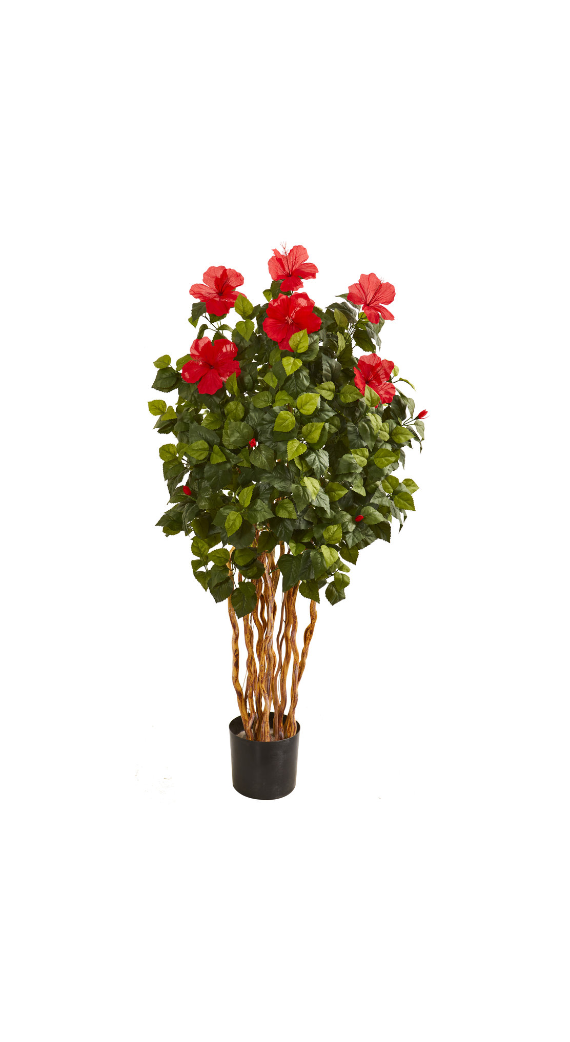 5' Hibiscus Artificial Tree - Transitional - Artificial Flower ...