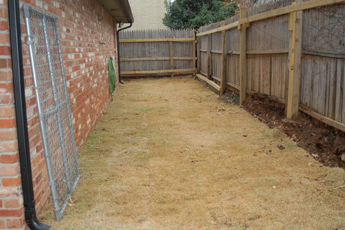 Need Help with Zero Lot Line Landscape Design