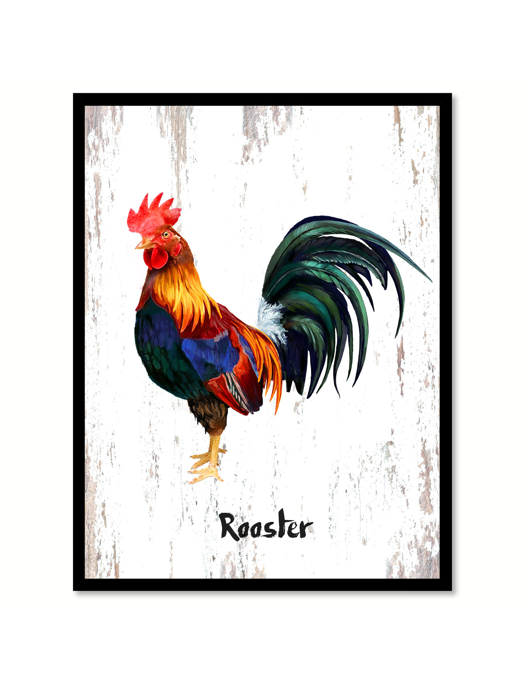 Rooster Bird Canvas Print, 7"x9", 28"x37" - Farmhouse - Prints And ...