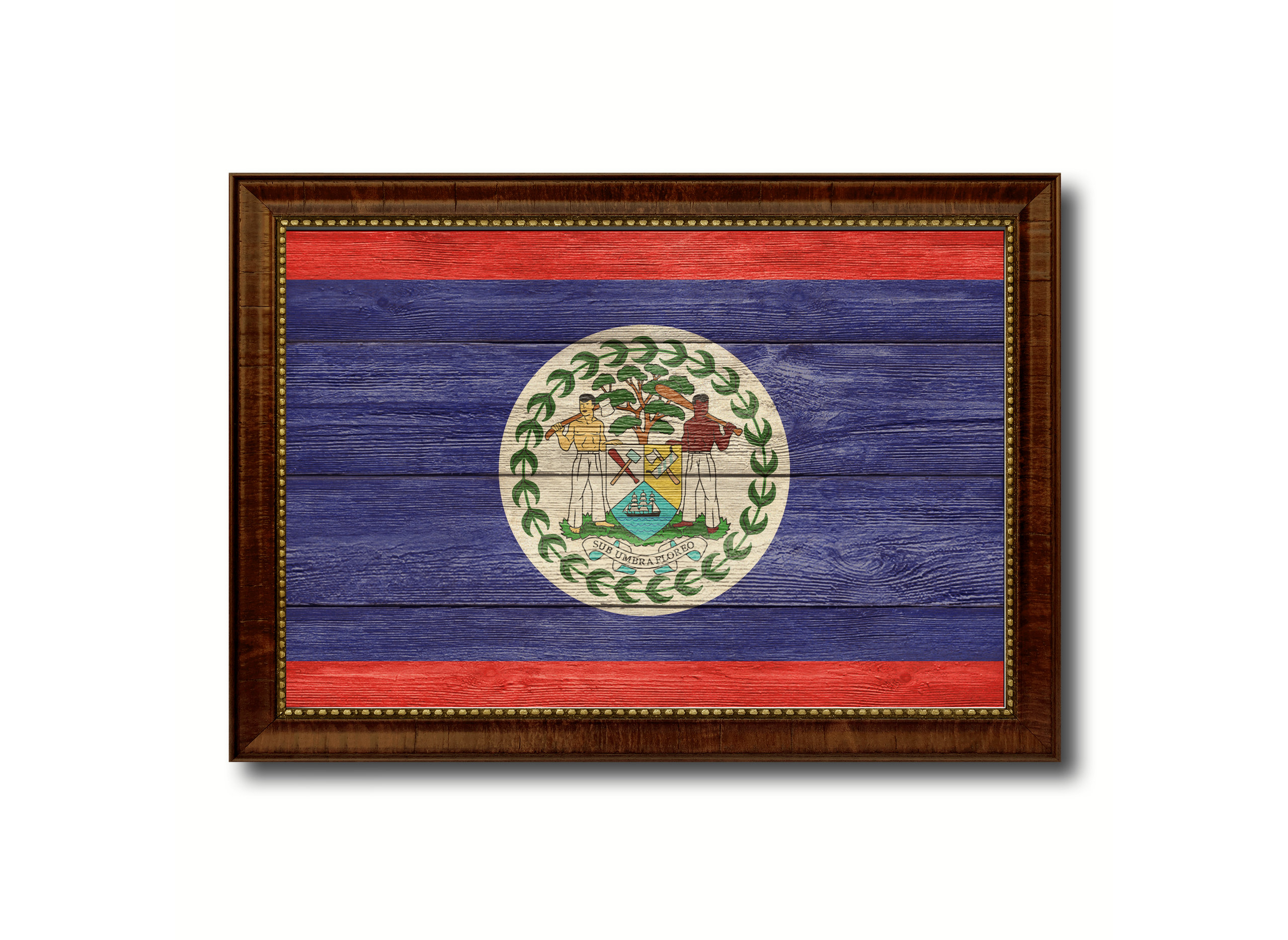 Belize Country Textured Flag Print With Brown Gold Frame, 23" X 33 ...