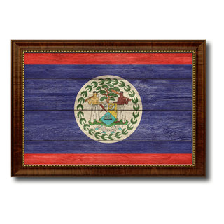 Belize Country Textured Flag Print With Brown Gold Frame, 23" X 33 ...