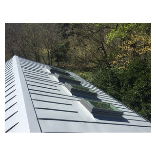 Rheinzink DC Wall Cladding, Roof with Solar skylights - Modern - DC ...