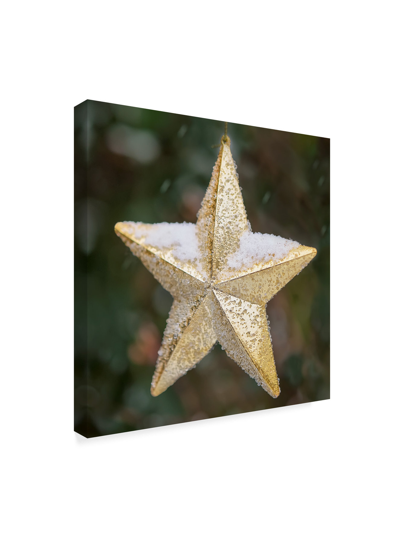 Cora Niele 'Golden Star With Snow' Canvas Art, 24"x24" - Contemporary ...
