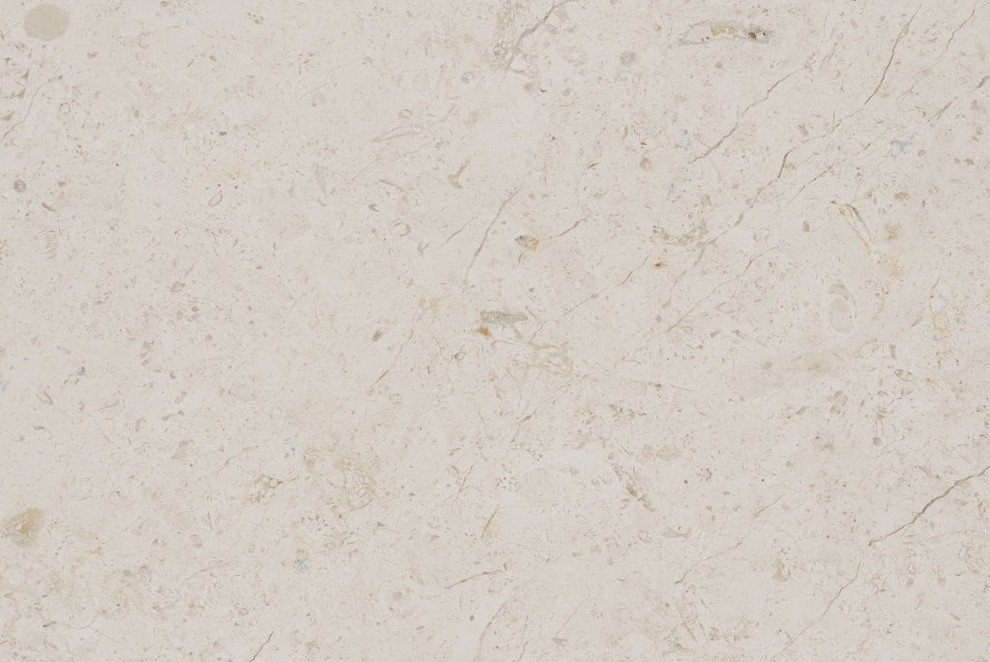 Ramon Bone Limestone Tiles, Polished Finish, 12"x12", Set of 320 ...