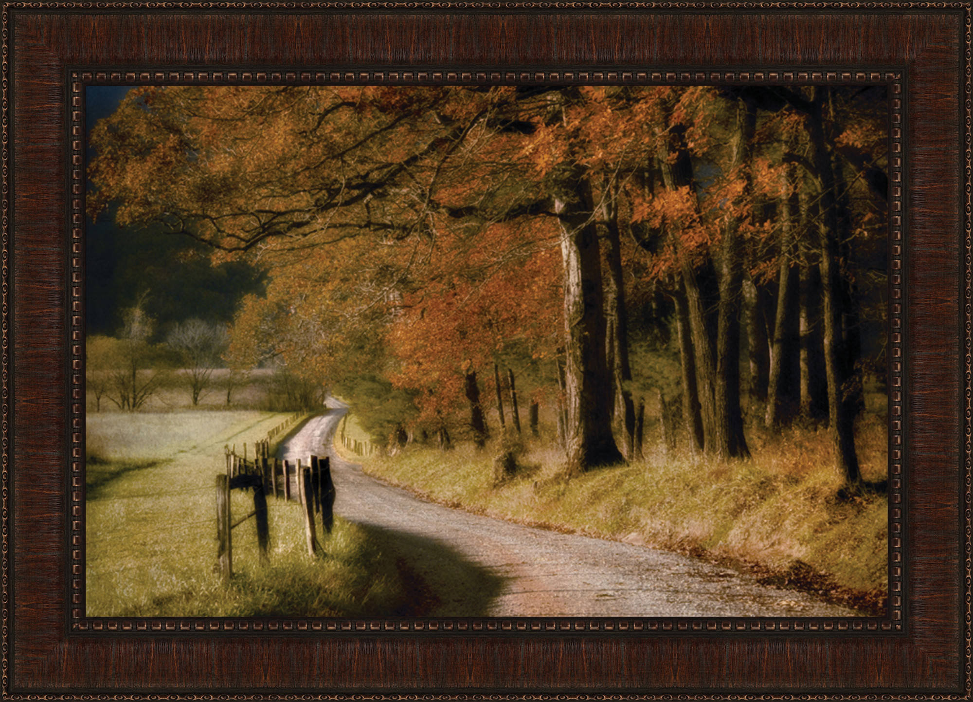 "Autumn'S Morning Light" By D. Burt, Framed Wall Art, Ready to Hang ...
