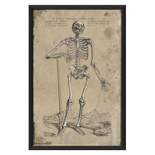 Humanis Corporis Ossium Print - Traditional - Prints And Posters - by ...