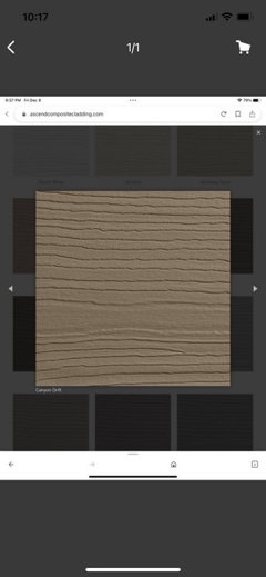 Help decide a color palette