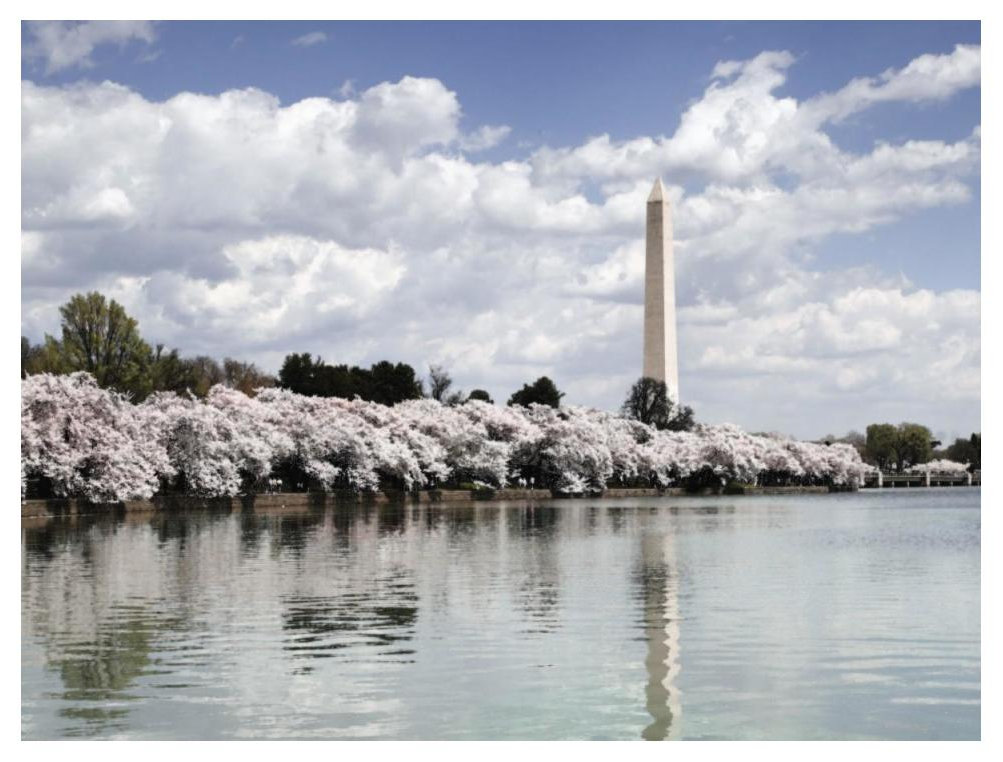 "Washington Monument, Washington, DC, Variant" Paper Art, 18"x14", 50 ...