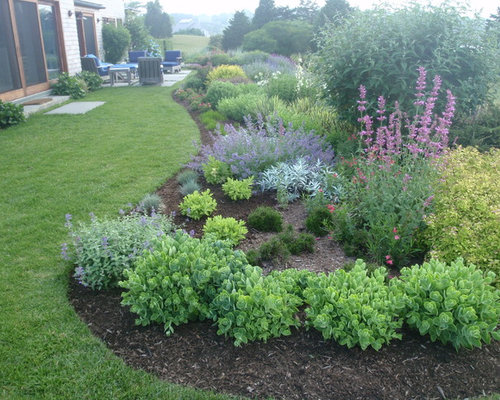 Berms Planting | Houzz