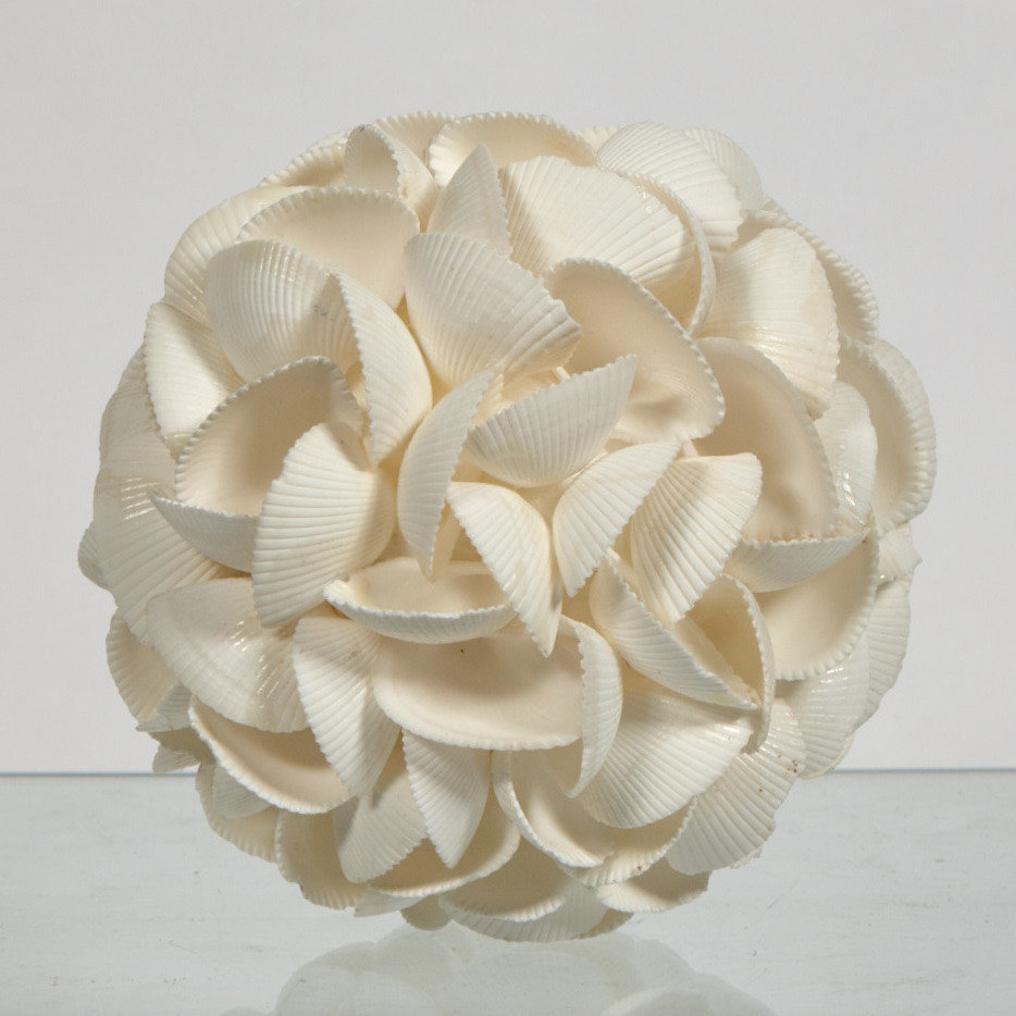 Natural White Ark Shell Orb, 6" - Beach Style - Garden Statues And Yard ...