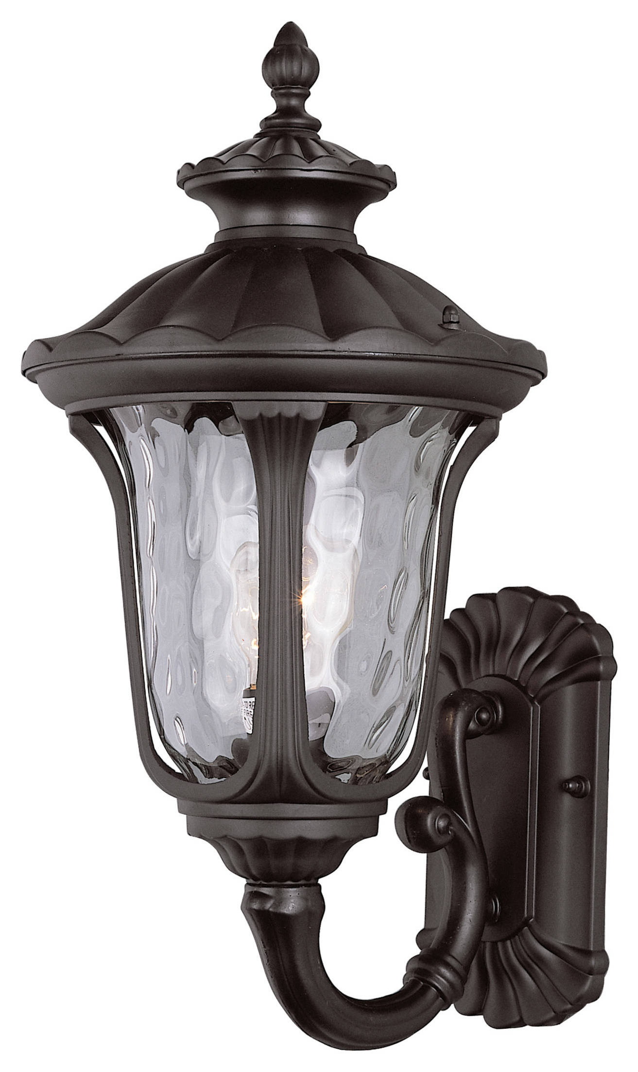 Trans Globe Rustic Contemporary 19" Wall Lamp - Traditional - Outdoor ...