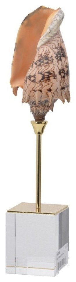 Sunset Conch Shell with Glass Cubic Stand Decor, Multicolor - Beach ...