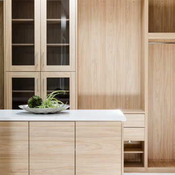 75 Modern Closet Ideas You'll Love - January, 2025 | Houzz