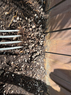 Removing rocks from soil for landscaping project