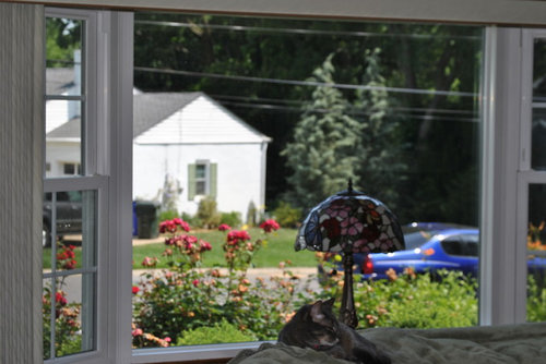 Living Room Bay Window Frustration