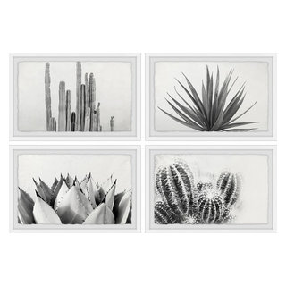 Cactus Kinds Quadriptych, 36"x24" - Southwestern - Prints And Posters ...