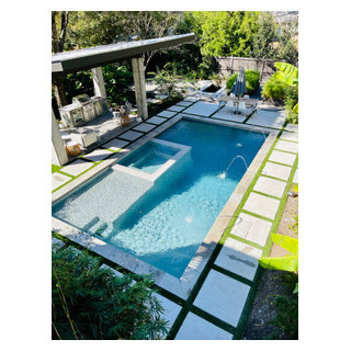 Clearly Lane - Modern - Pool - Charleston - by Aquatica Pools & Spas ...