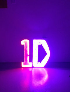 One Direction LED Concert Sign