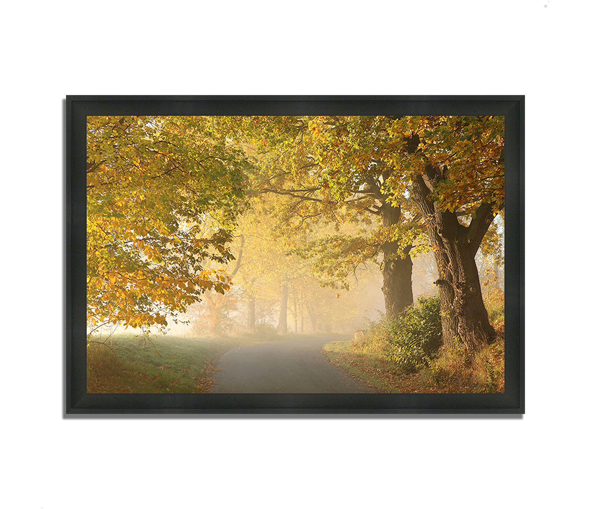 "On A Misty Autumn Morning", Framed Photograph Print, Ready To Hang ...