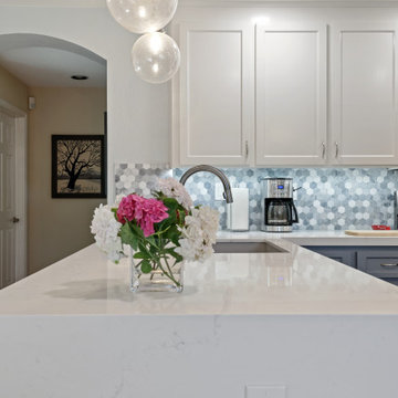 Della Terra Quartz Portofino Classico - Photos & Ideas | Houzz