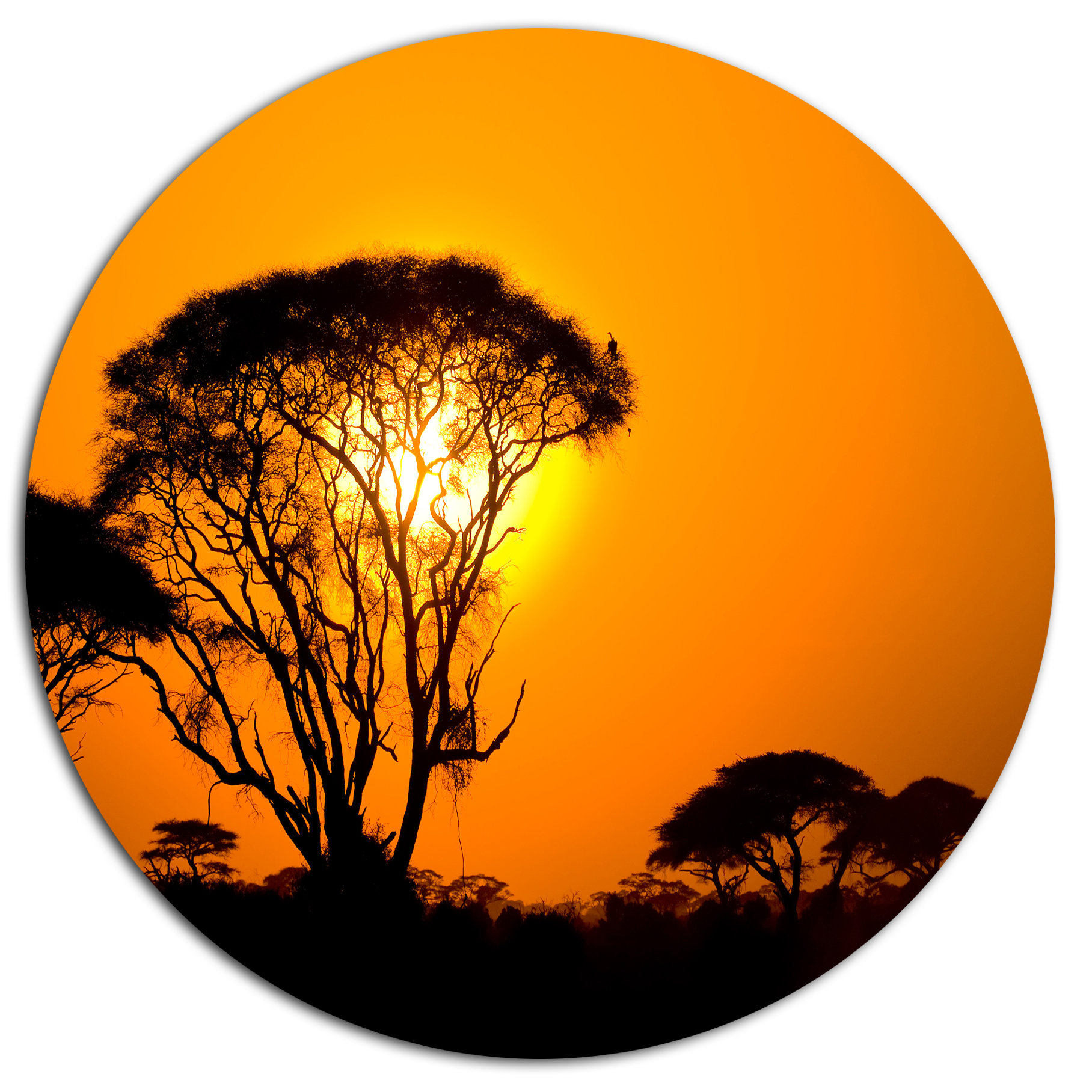 Beautiful African Sunset In Savannah, African Disc Metal Wall Art, Disc ...
