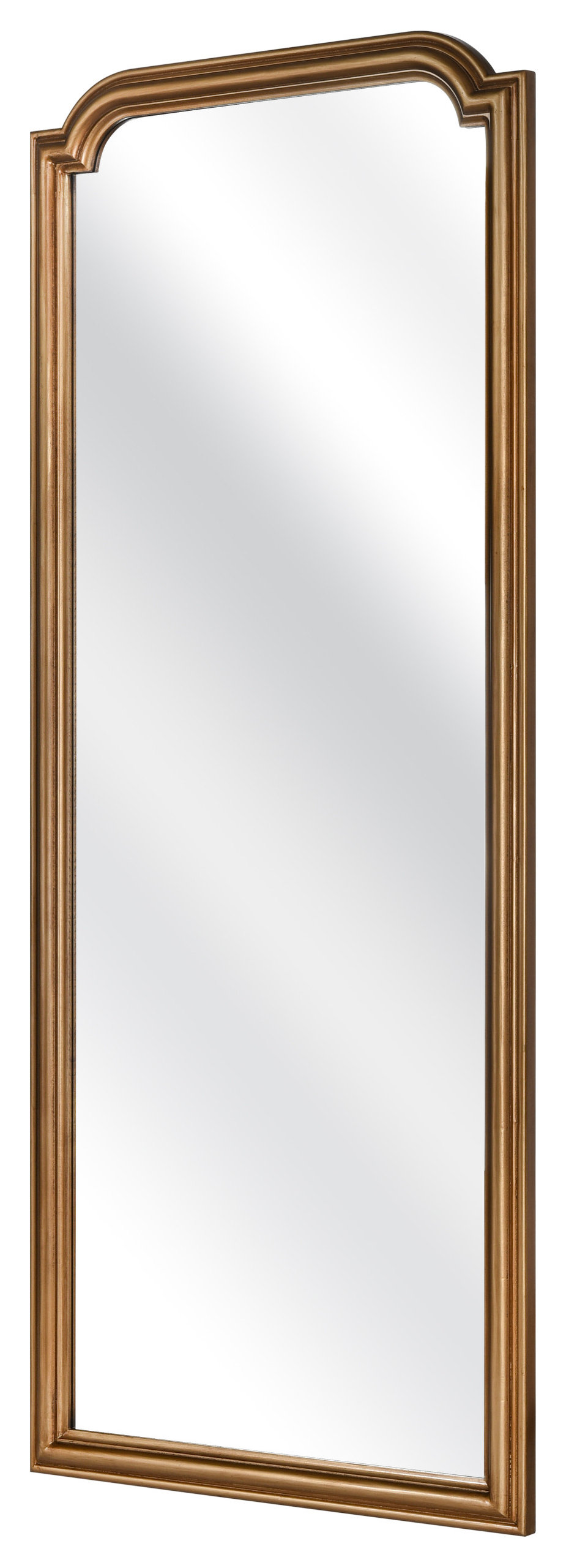 Maroney Floor Mirror - Brass - Traditional - Floor Mirrors - by ELK ...