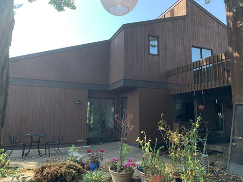 HELP! residing 70s shed style contemporary