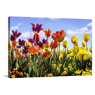 "Tulip Parade II" Wrapped Canvas Art Print, 48"x32" - Contemporary ...