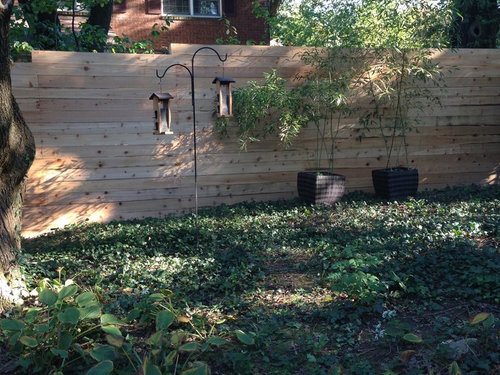 Fence stain for contemporary/MCM style home?