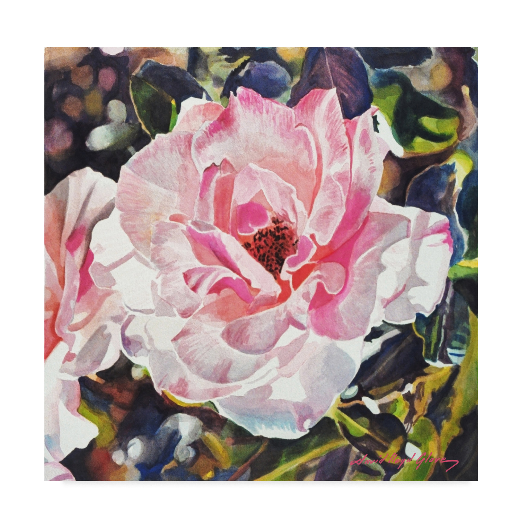 "Renaissance Rose Blossom" by David Lloyd Glover, Canvas Art, 35"x35 ...