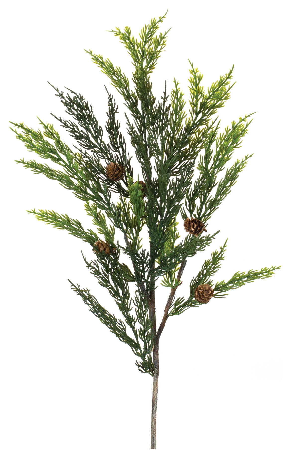 Pine Spray 31.5"H Plastic - Traditional - Christmas Decorations - by ...