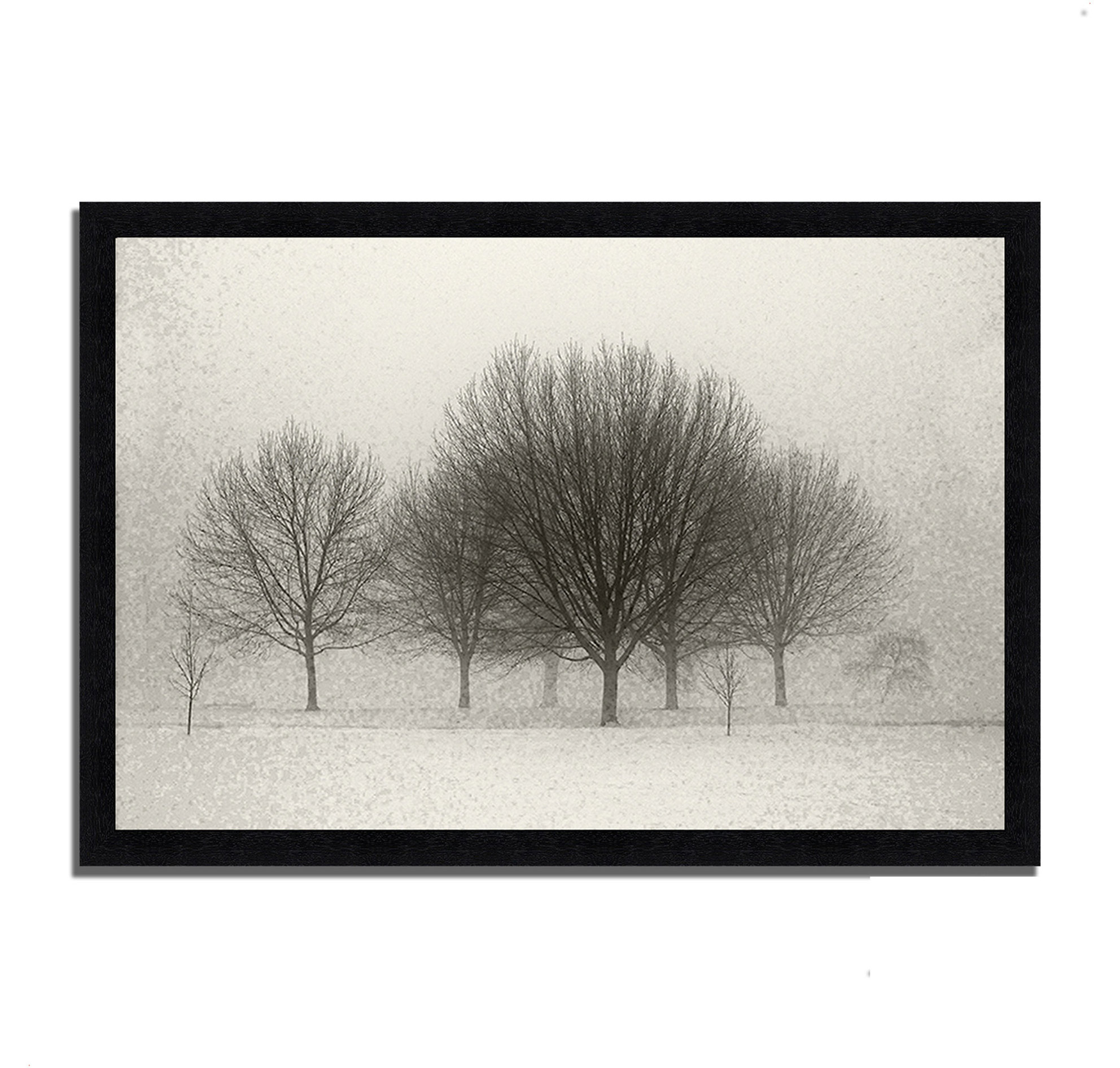 "Fading Memories", Framed Photograph Print, Ready To Hang ...