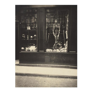 "Zoologist's Shop" Digital Paper Print by Eugene Atget, 14"x18", 14"x18 ...
