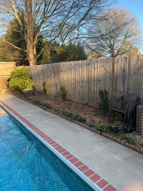 landscaping ideas for front and back