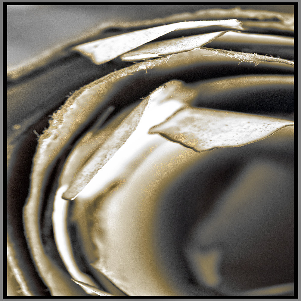 "Aged Parchment", 36" x 36" - Contemporary - Prints And Posters - by ...