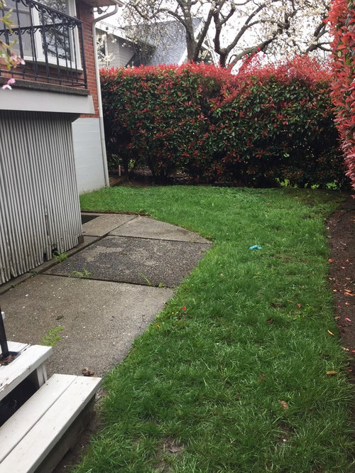 Back Yard Redesign Ideas