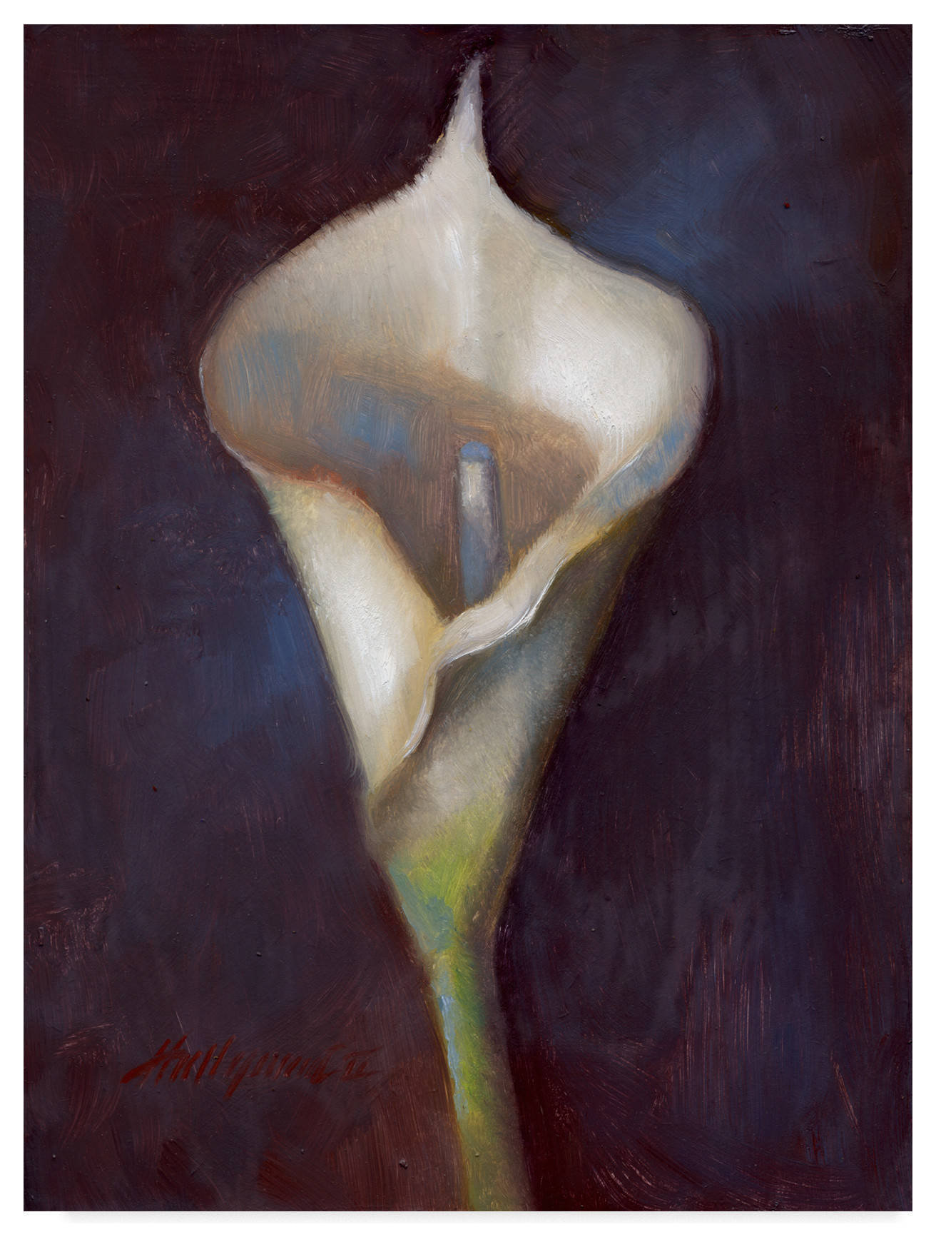 Hall Groat Ii 'Calla Lily White' Canvas Art, 24"x18" - Contemporary ...