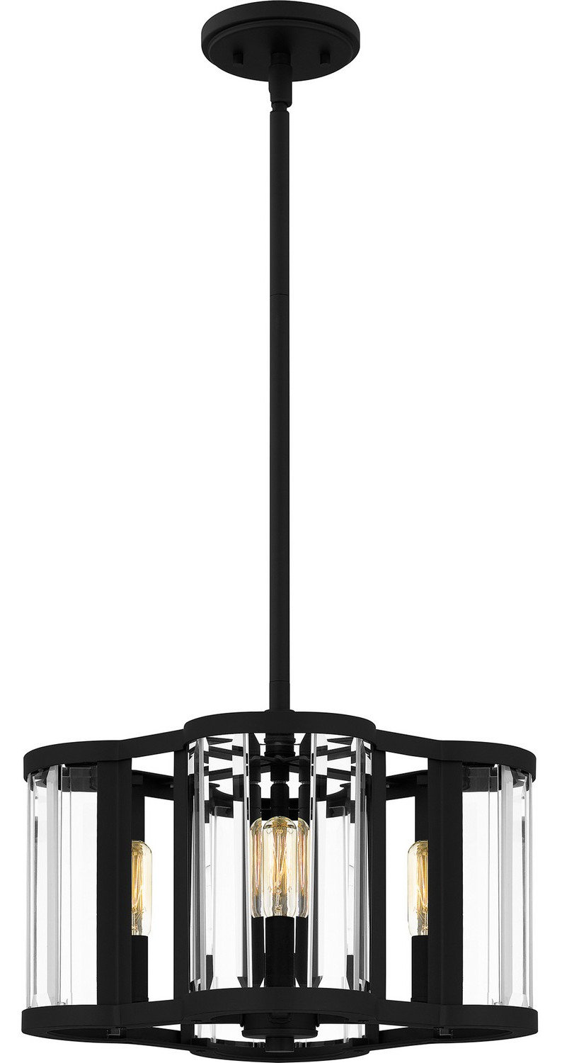 Renee 4-Light Pendant, Matte Black - Transitional - Pendant Lighting ...